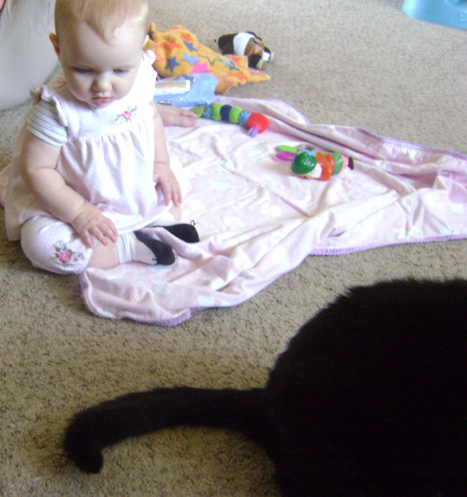 Cattail Danger – Gracious Rain