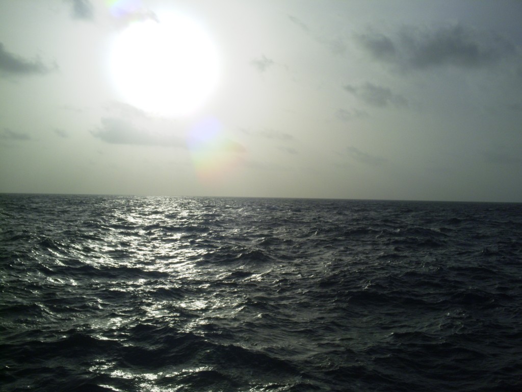 Beauty – Gracious Rain