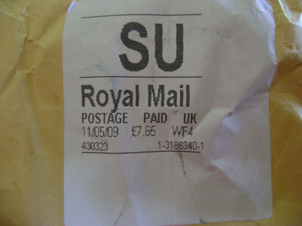 Chocolate Tsunami – Gracious Rain