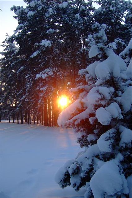 Christmas Prayers – Gracious Rain