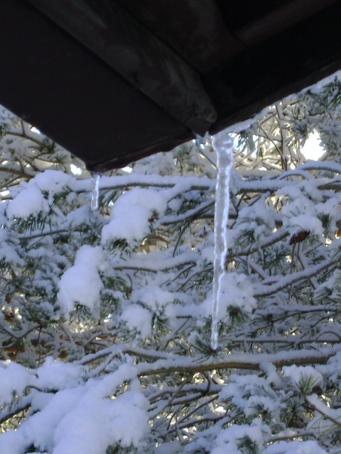 Welcome… – Gracious Rain