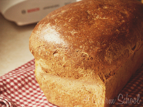 Perfect Whole Wheat Bread – Gracious Rain