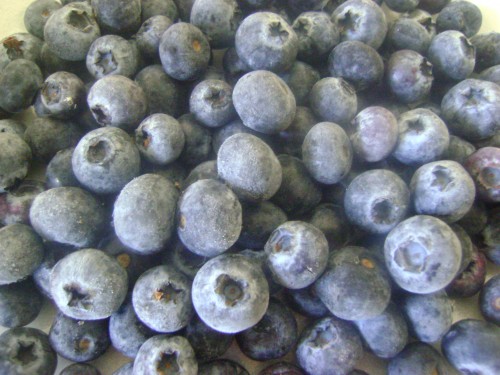 Blueberry Bomb – Gracious Rain