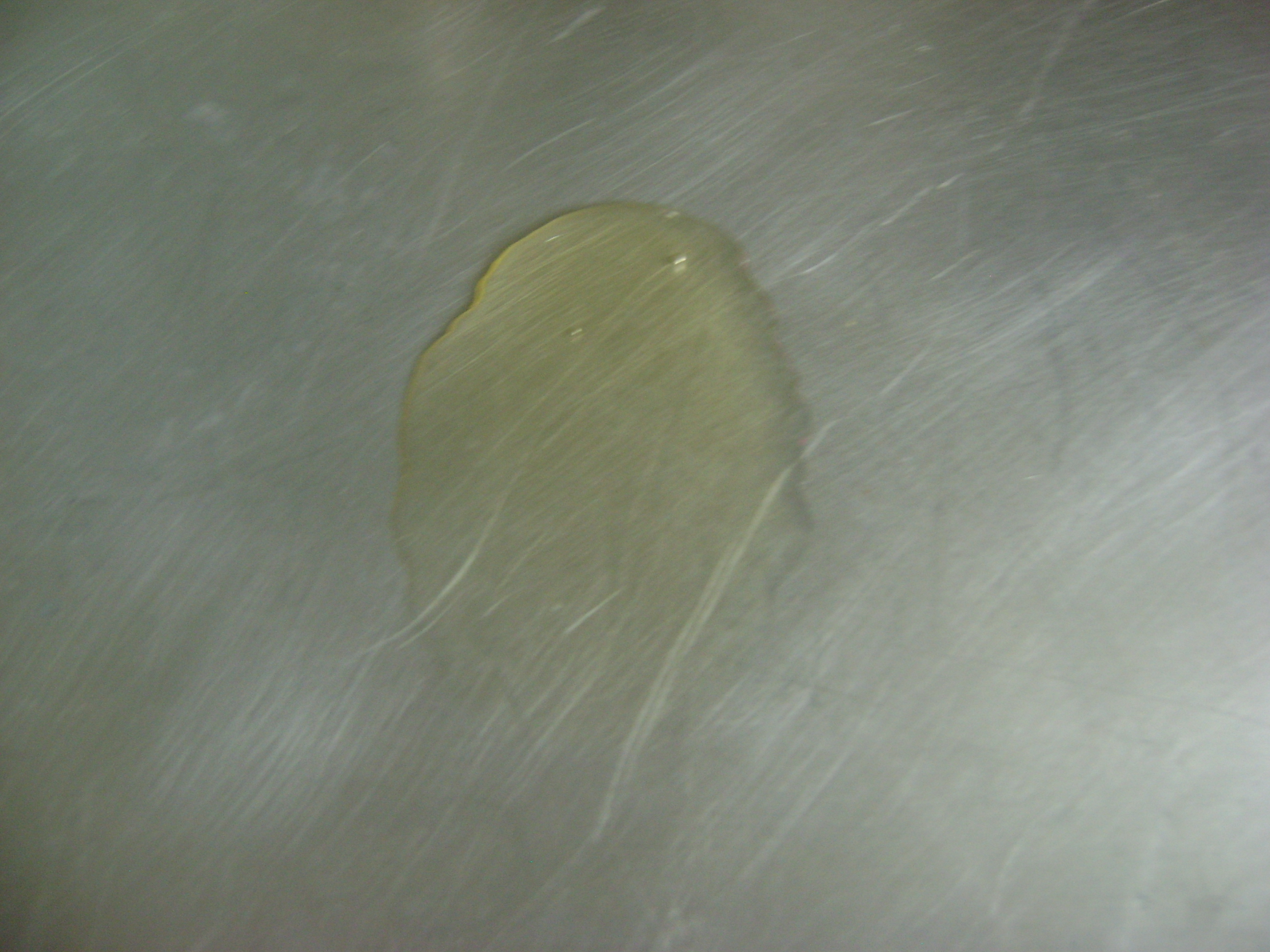 011 – Gracious Rain