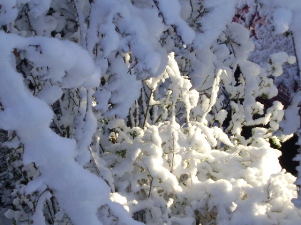 { Possibilities } – Gracious Rain