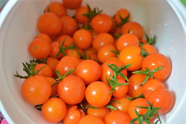 For Another Day… – Gracious Rain