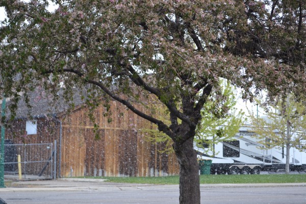 What on EARTH? – Gracious Rain