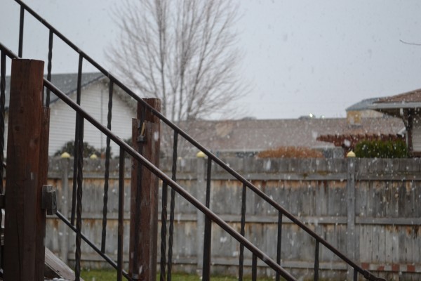 Just a Smidge~ – Gracious Rain