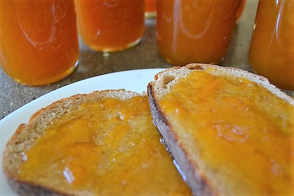 Perfect Apricot Jam – Gracious Rain