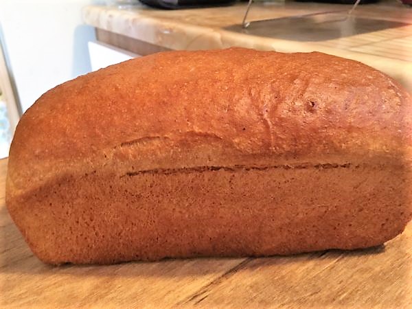 Honey Whole Wheat Bread – Gracious Rain