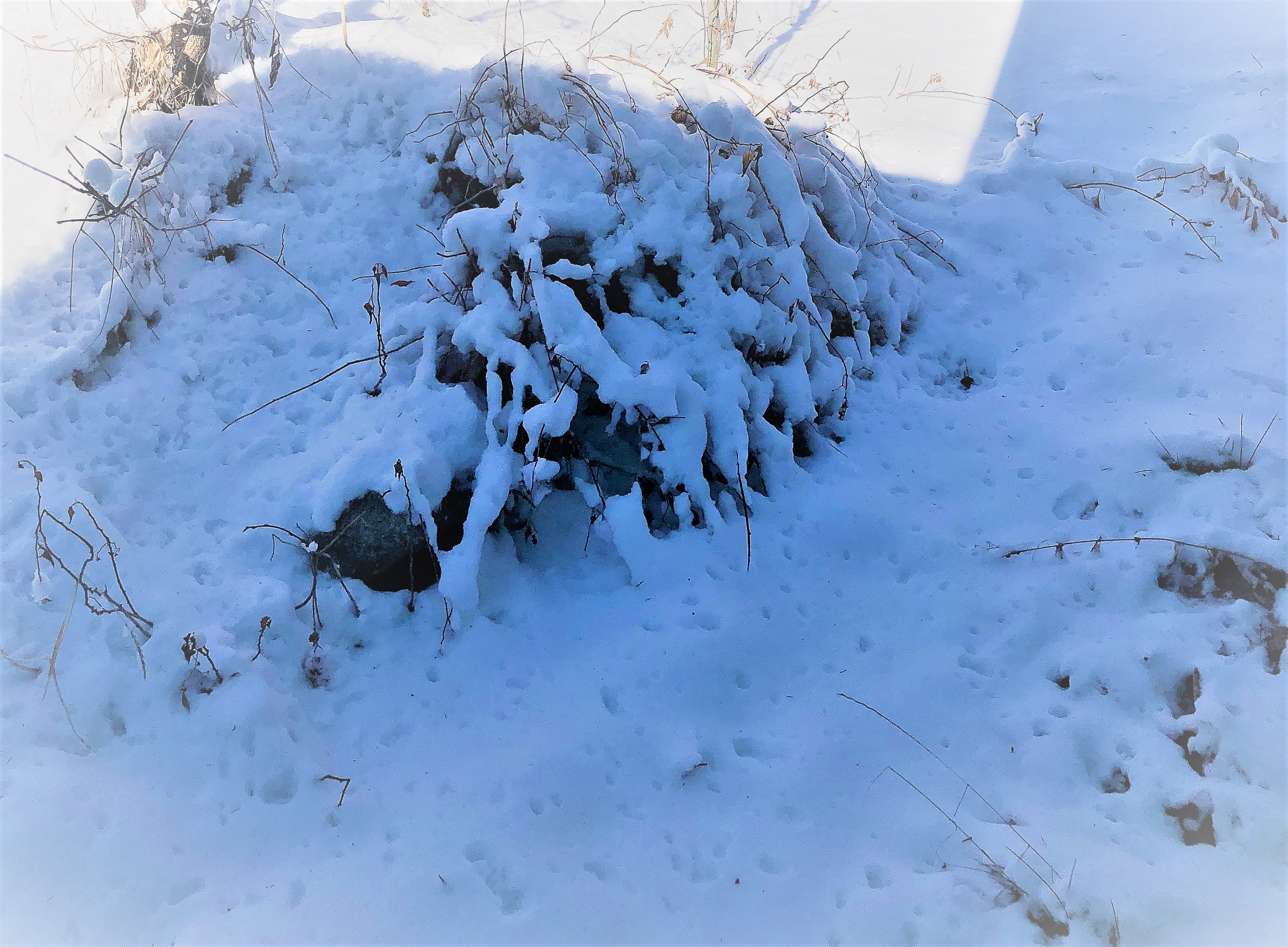 IMG_1191 – Gracious Rain