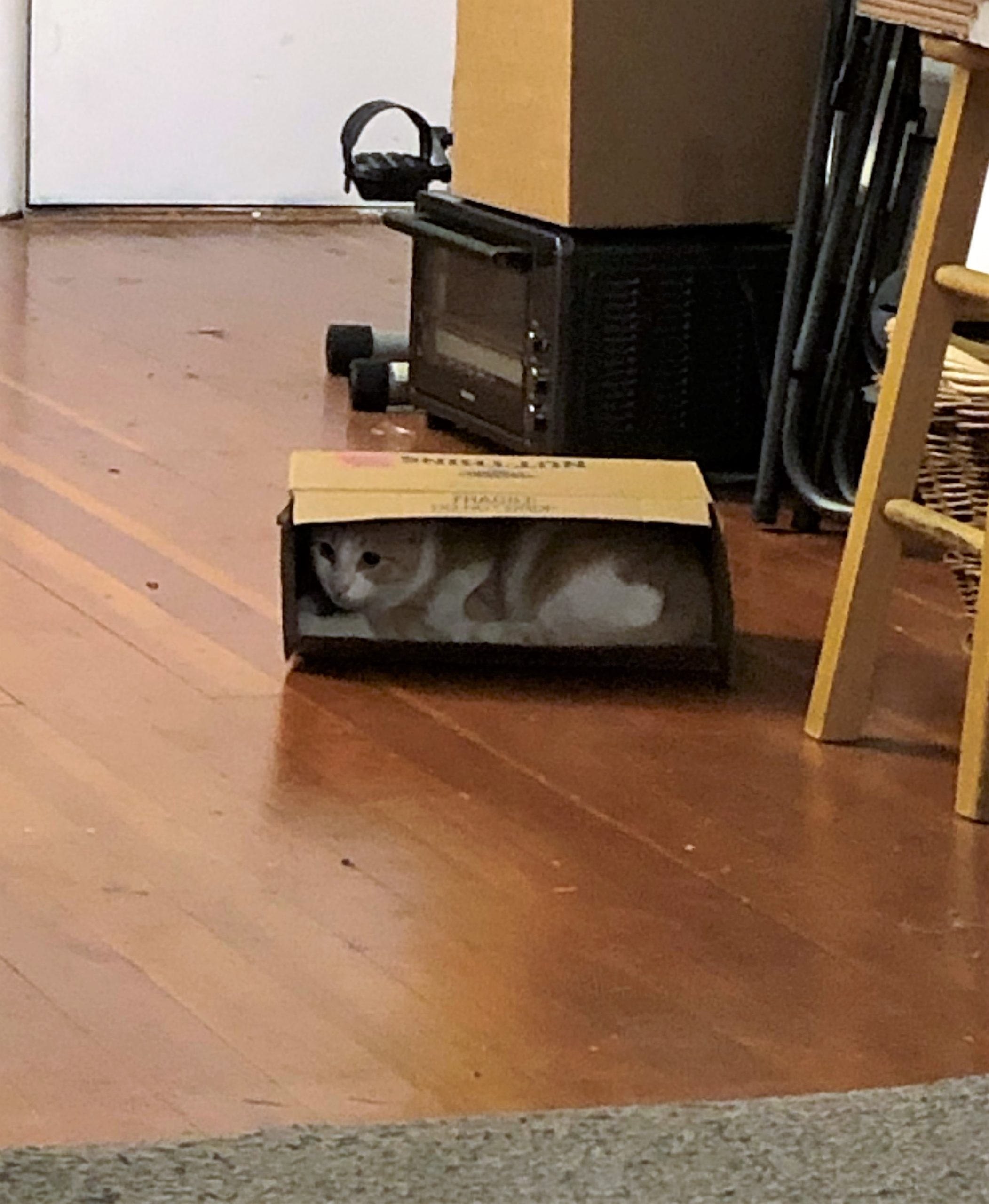 If There Is A Box… – Gracious Rain