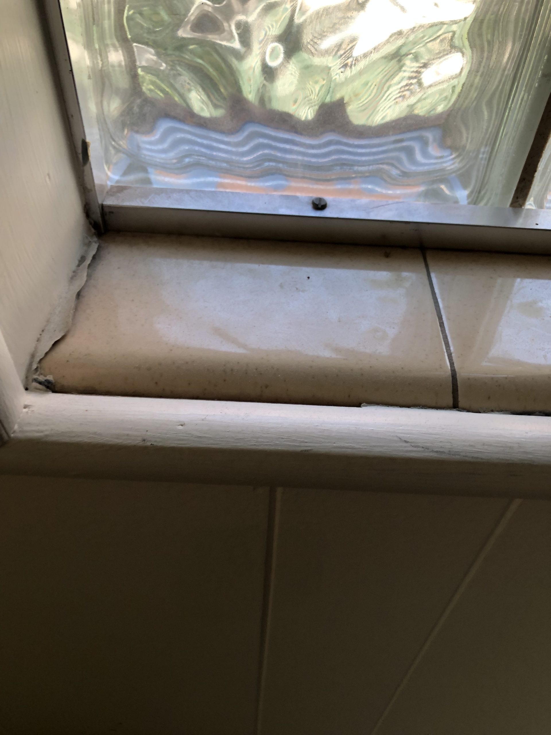 A New Window To the World – Gracious Rain